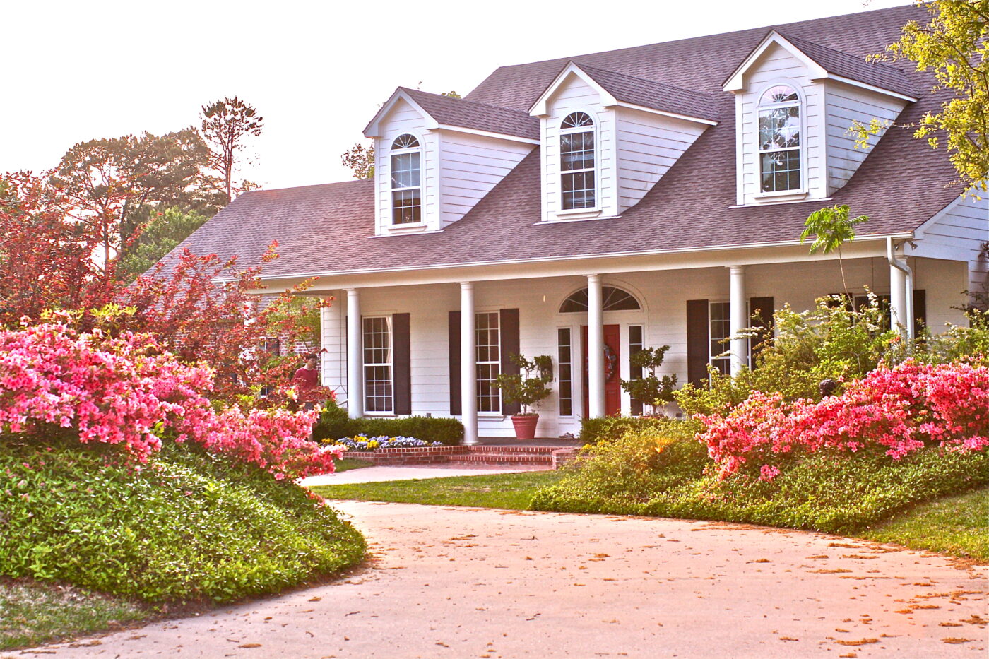 Loving Life at Home - Loving Life at Home